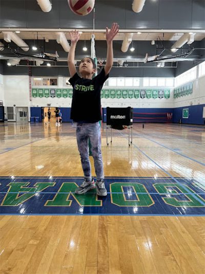 Home - STRIVE Sports